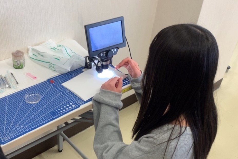 「細胞をのぞいてDNAを光らせてみよう」を開催いたしました | POMk Project