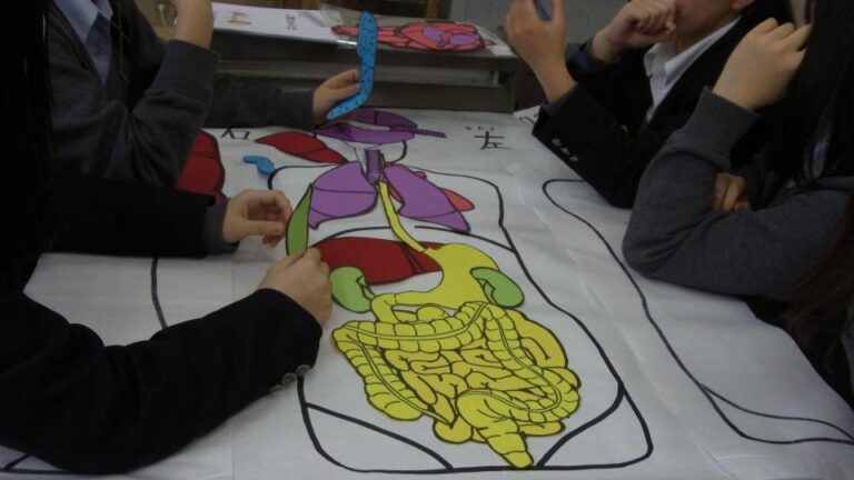 What is POMk Project? | POMk Project